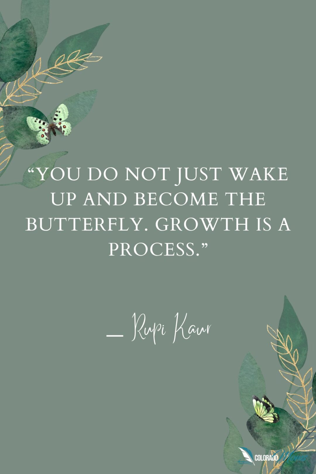 105+ Inspiring Quotes About Butterflies That Will Make Your Spirits ...