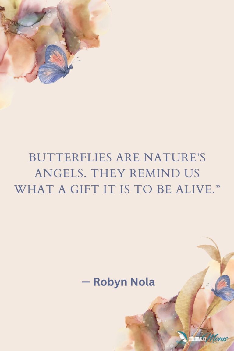 105+ Inspiring Quotes About Butterflies That Will Make Your Spirits ...