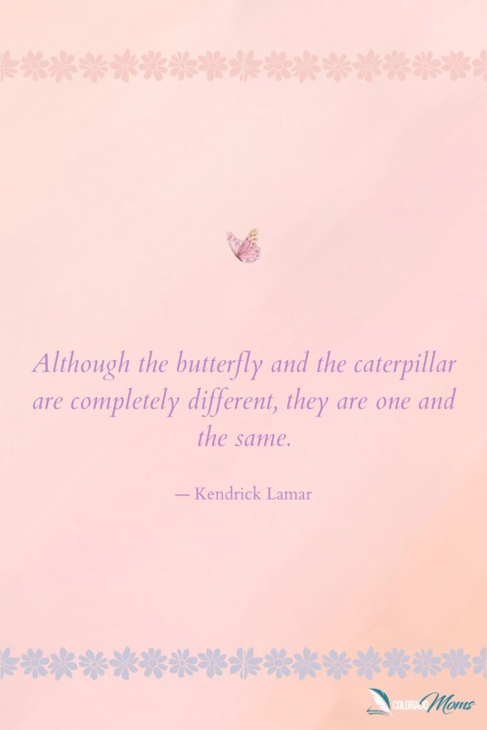 105+ Inspiring Quotes About Butterflies That Will Make Your Spirits ...