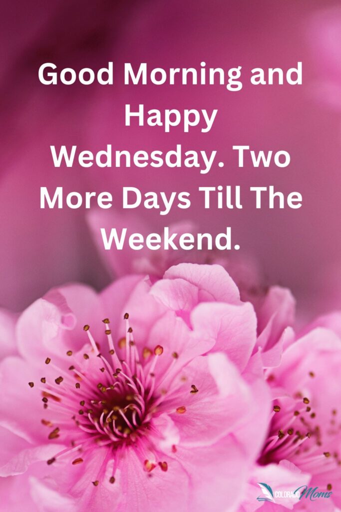 50+ Wednesday Morning Inspirational Quotes With Images - Colorado Moms