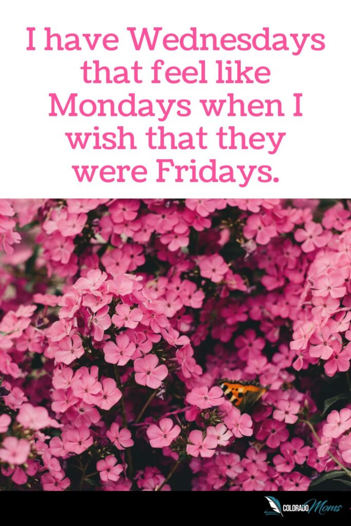 50+ Wednesday Morning Inspirational Quotes With Images - Colorado Moms