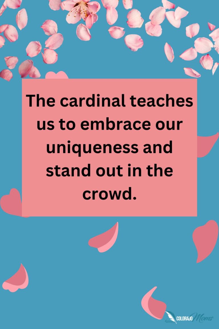 Inspirational Cardinal Quotes - Colorado Moms