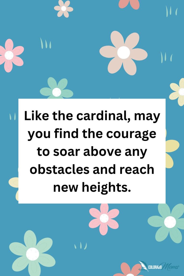 Inspirational Cardinal Quotes - Colorado Moms