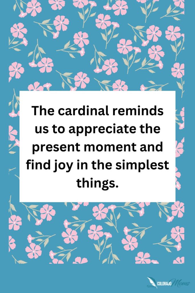Inspirational Cardinal Quotes - Colorado Moms