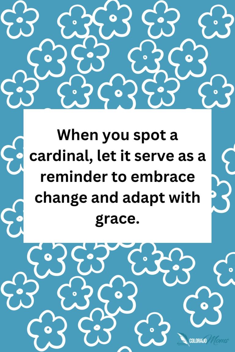 Inspirational Cardinal Quotes - Colorado Moms
