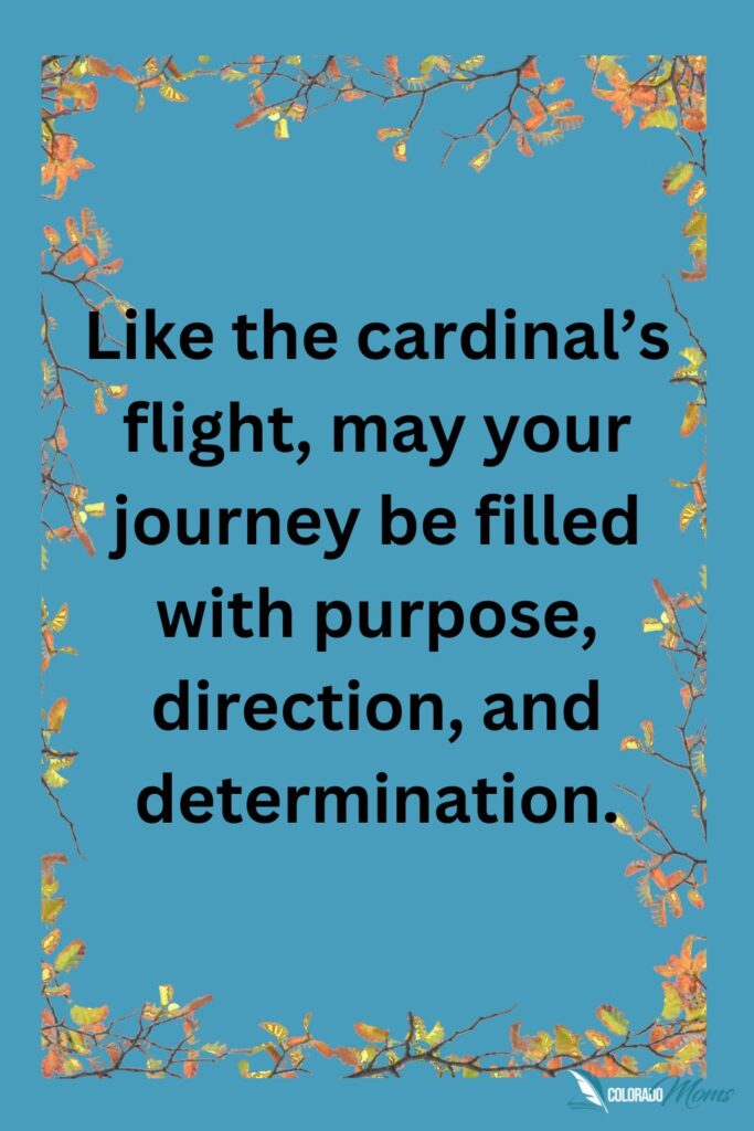 Inspirational Cardinal Quotes - Colorado Moms