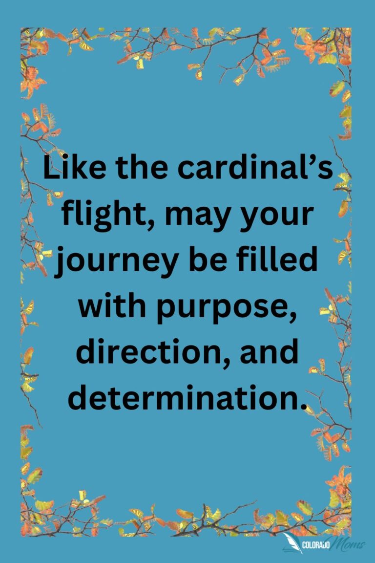 Inspirational Cardinal Quotes - Colorado Moms