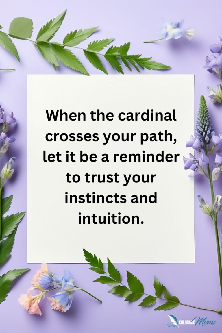 Inspirational Cardinal Quotes - Colorado Moms