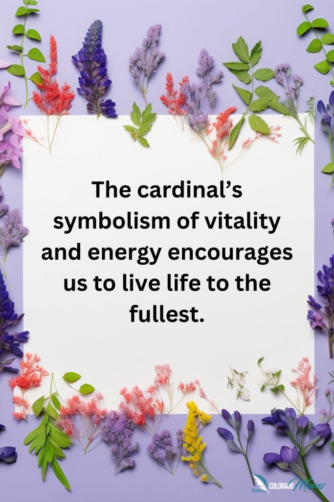 Inspirational Cardinal Quotes - Colorado Moms