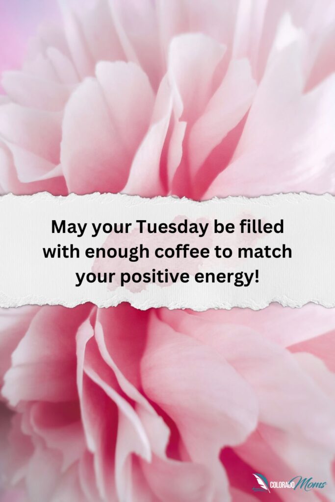 253+ Happy Tuesday Inspirational Quotes And Images - Colorado Moms