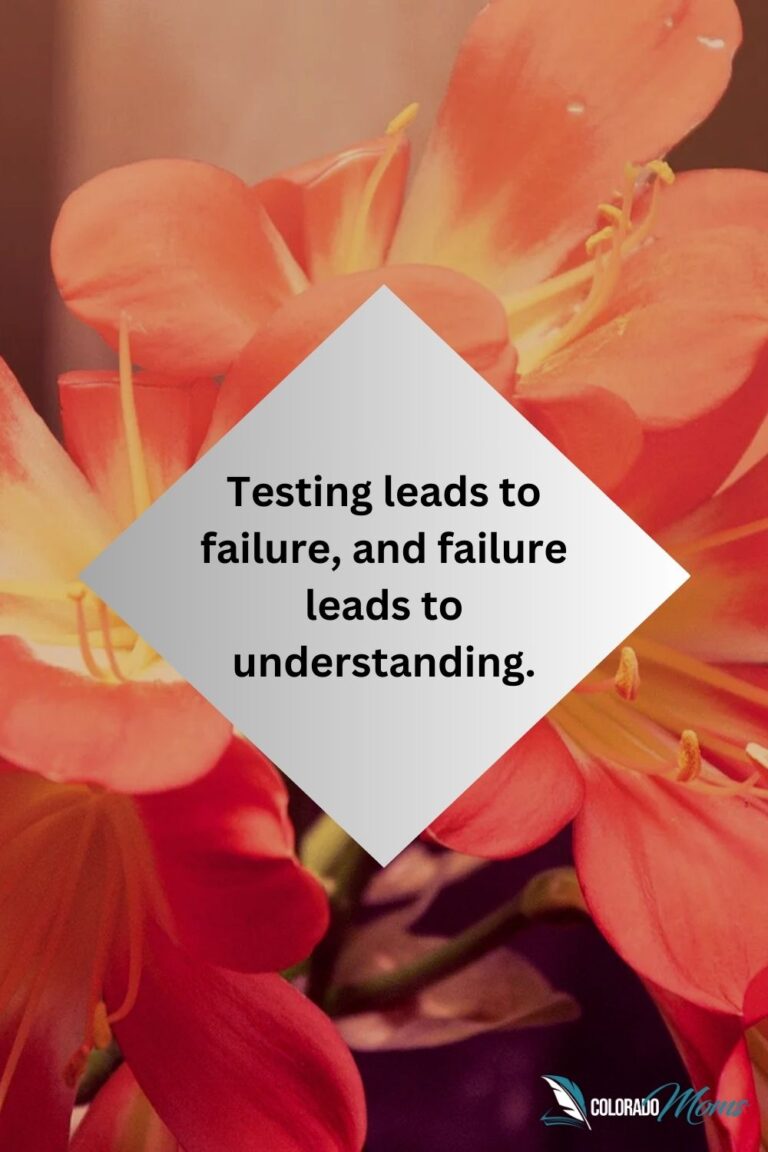 52 Inspirational Picture Quotes On Failure That Will Make You Succeed ...