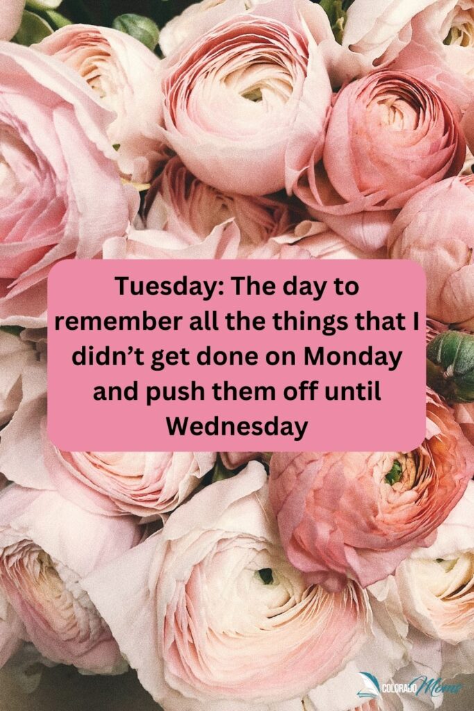 Happy Inspirational Tuesday Quotes And Sayings - Colorado Moms