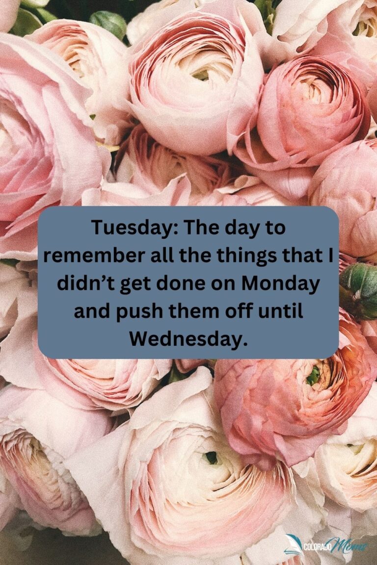 Happy Inspirational Tuesday Quotes And Sayings - Colorado Moms