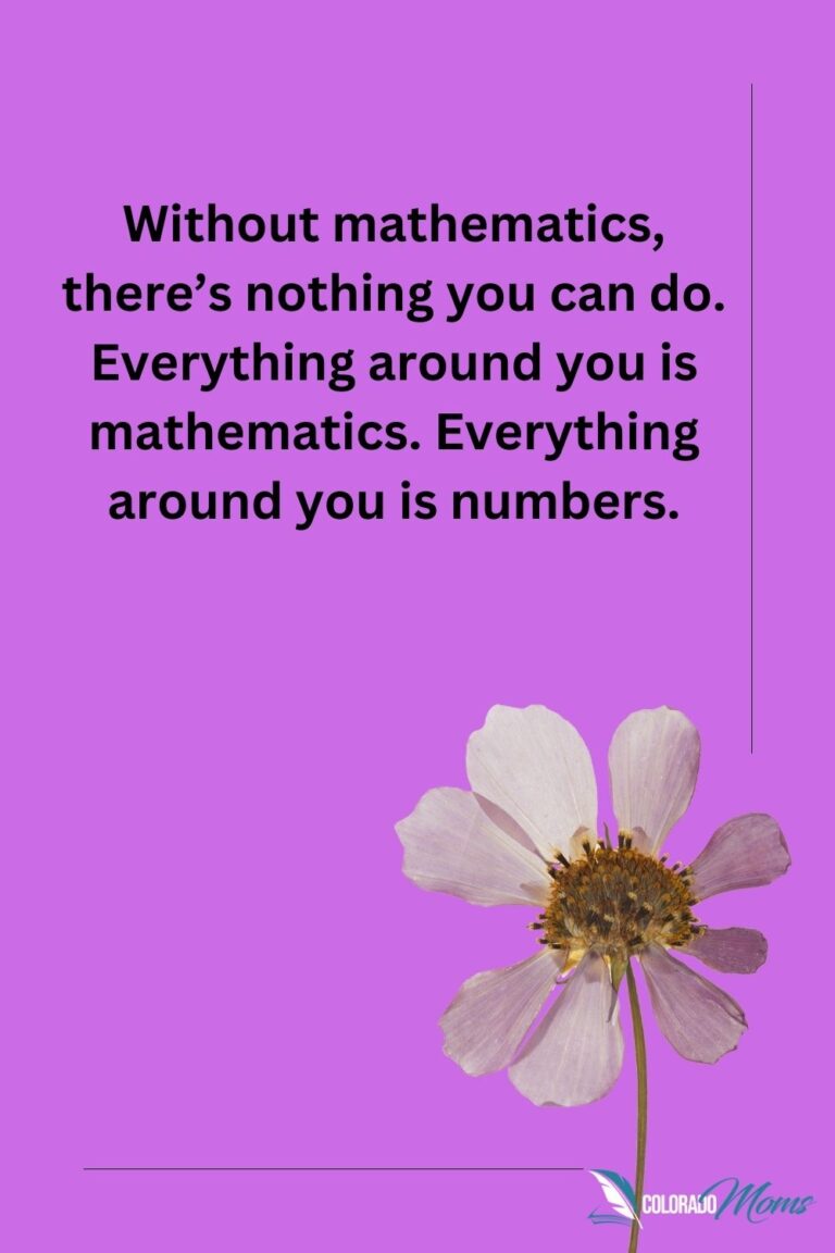 25 Powerful, Motivating And Inspirational Math Quotes - Colorado Moms