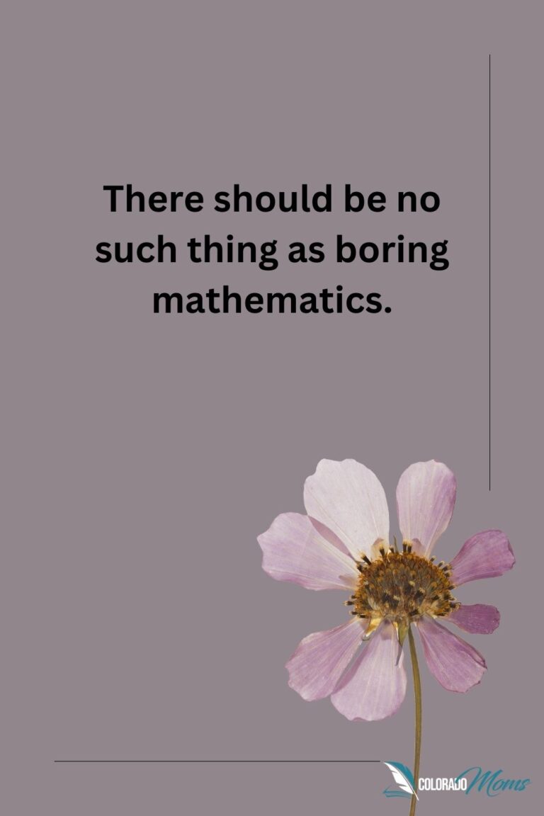 25 Powerful, Motivating And Inspirational Math Quotes - Colorado Moms
