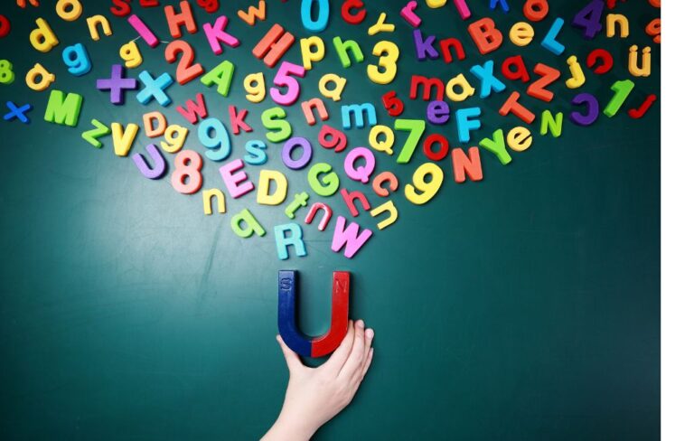 Travel Magnet Display Ideas: Showcasing Your Adventures With Style ...