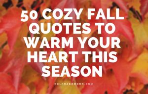 50 Cozy Fall Quotes to Warm Your Heart This Season - Colorado Moms